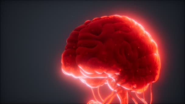 Animated model of human brain — Stock Video © icetray #330261706