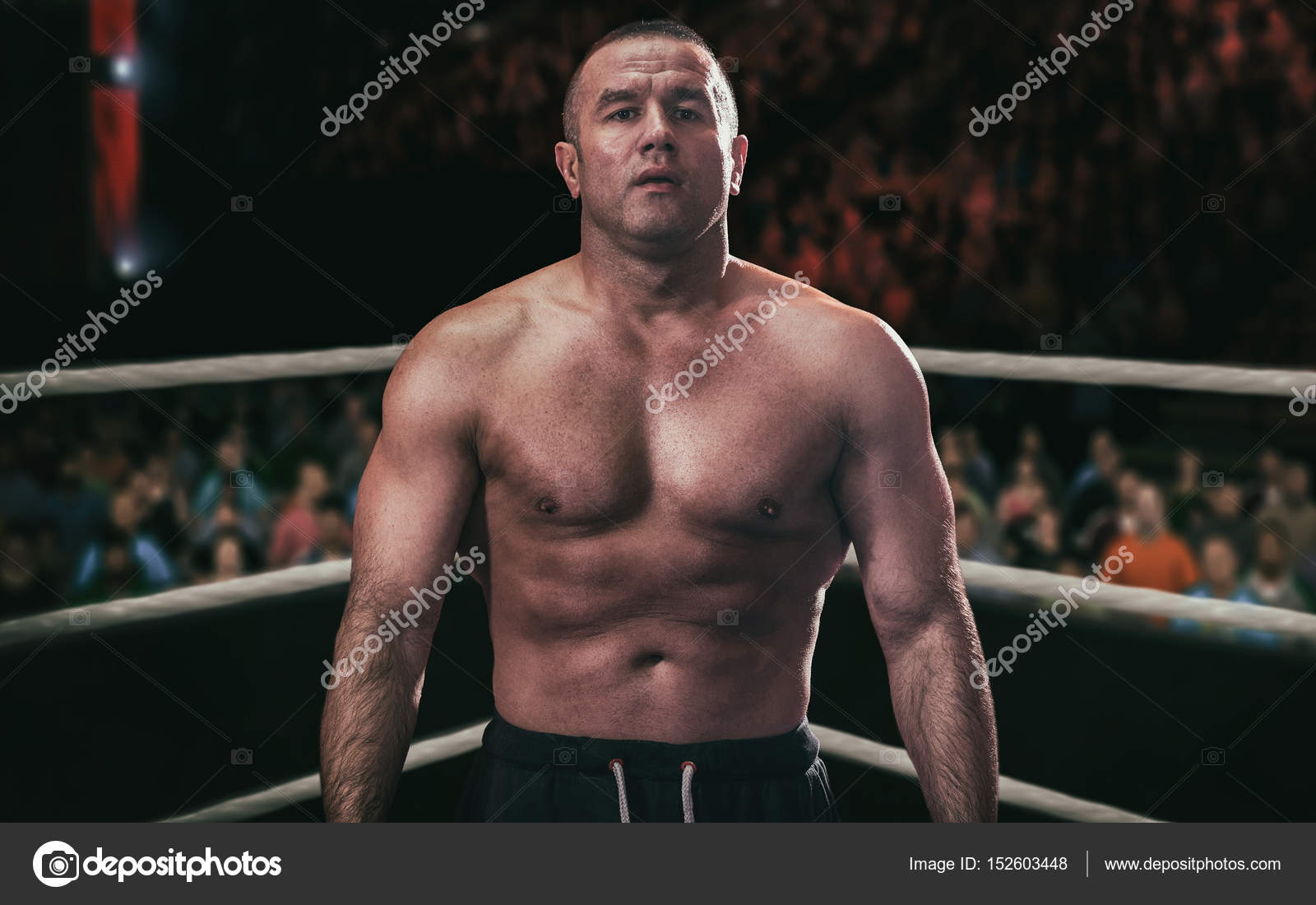 Professional kickboxer in the training ring — Stock Photo © .shock ...