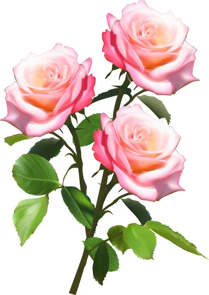Light Pink Rose Clip Art