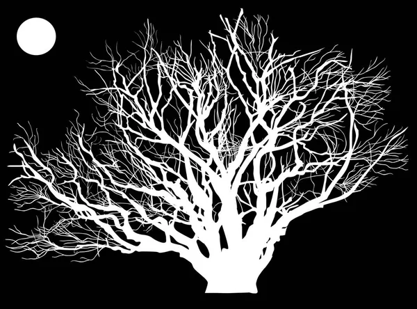 Isolated bare tree illustration — Stock Vector © Dr.PAS #12357780