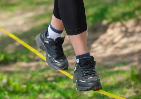 Circus net Stock Photos, Royalty Free Circus net Images | Depositphotos