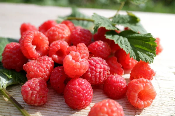 Raspberry yard Stock Photos, Royalty Free Raspberry yard Images ...