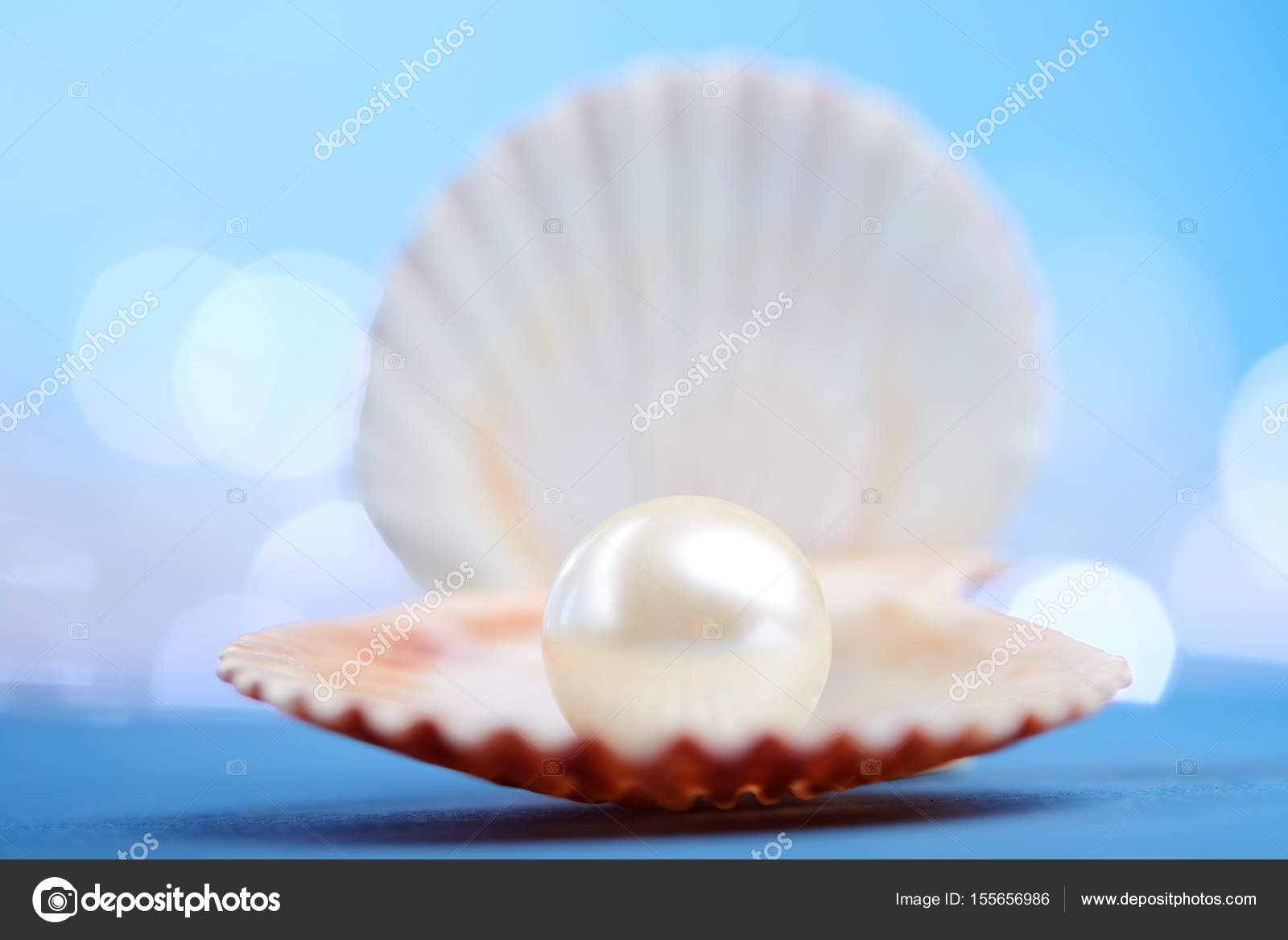 Pearls in open shell Stock Photo by ©strelok 155656986