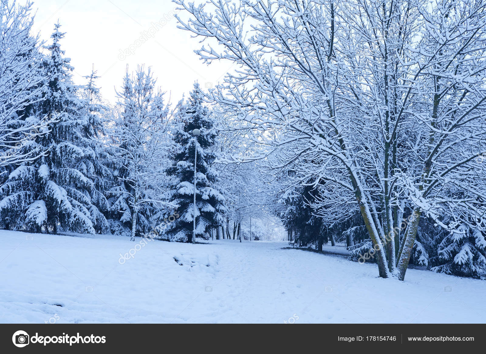 Beautiful Winter Park Snow Covered Trees — Stock Photo © strelok #178154746