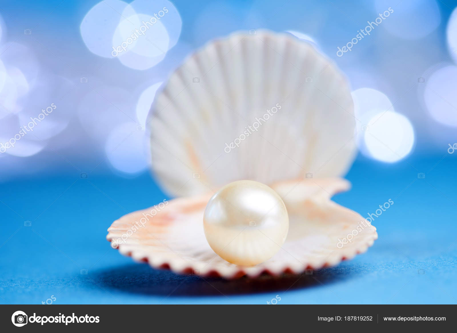 Open Shell With Pearl