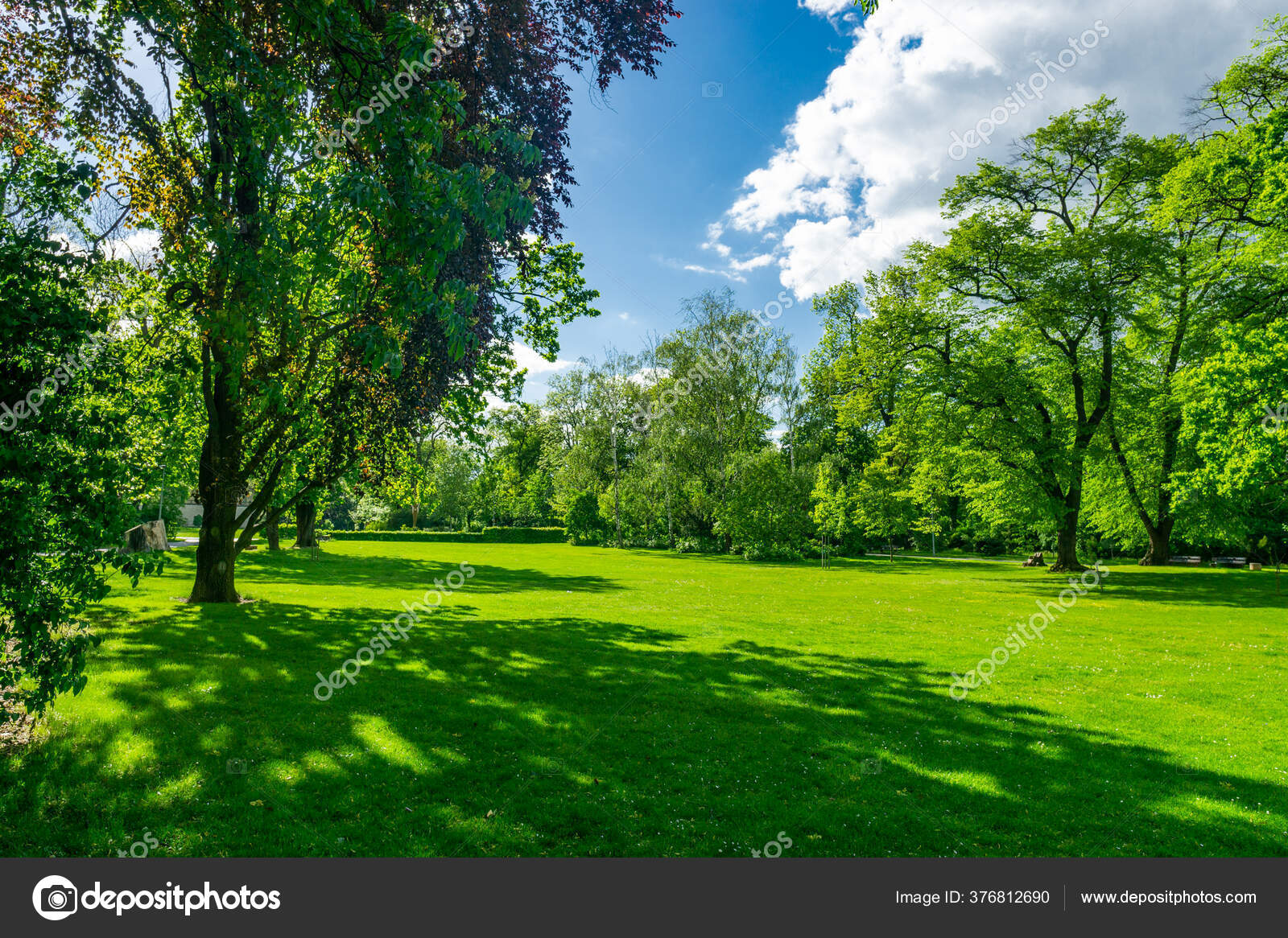Summer Park Extensive Lawns Wide Photo — 스톡 사진 © AndreyKlepikov #376812690