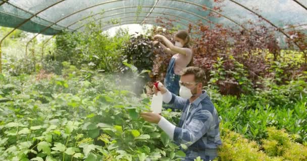 132 Personas fertilizando Videos, Royalty-free Stock Personas ...