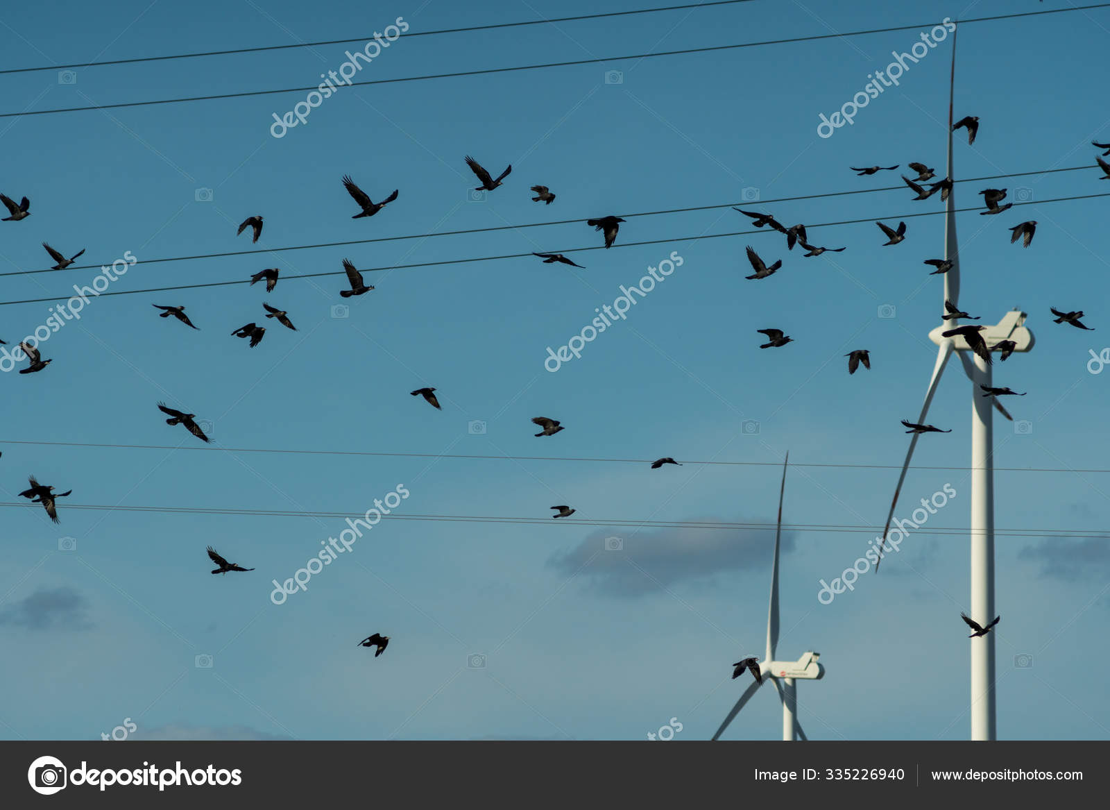 Birds flying in front of wind turbines — Stock Photo © michal812 #335226940