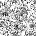 Beautiful Seamless Floral Pattern Outline Flowers Buds Leaves White ...