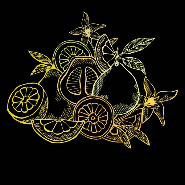 Hand Drawn Golden Pomelos Whole Sliced Design Elements Can Used Stock ...