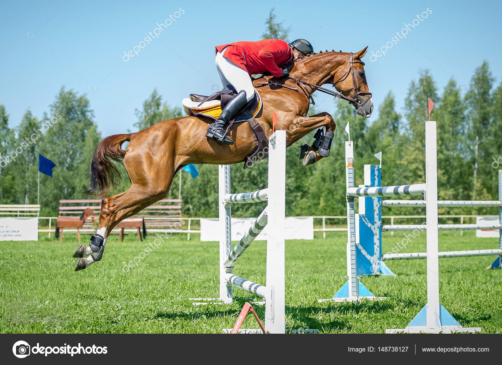Horse Jumping High Without Rider