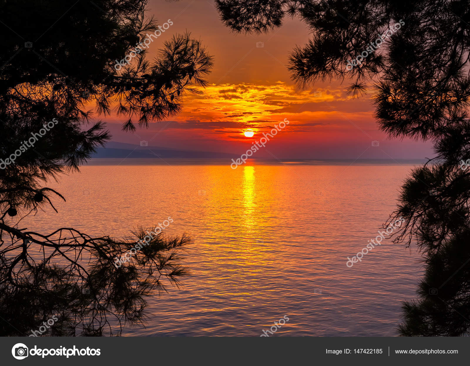 Sunset Lake Pine Tree