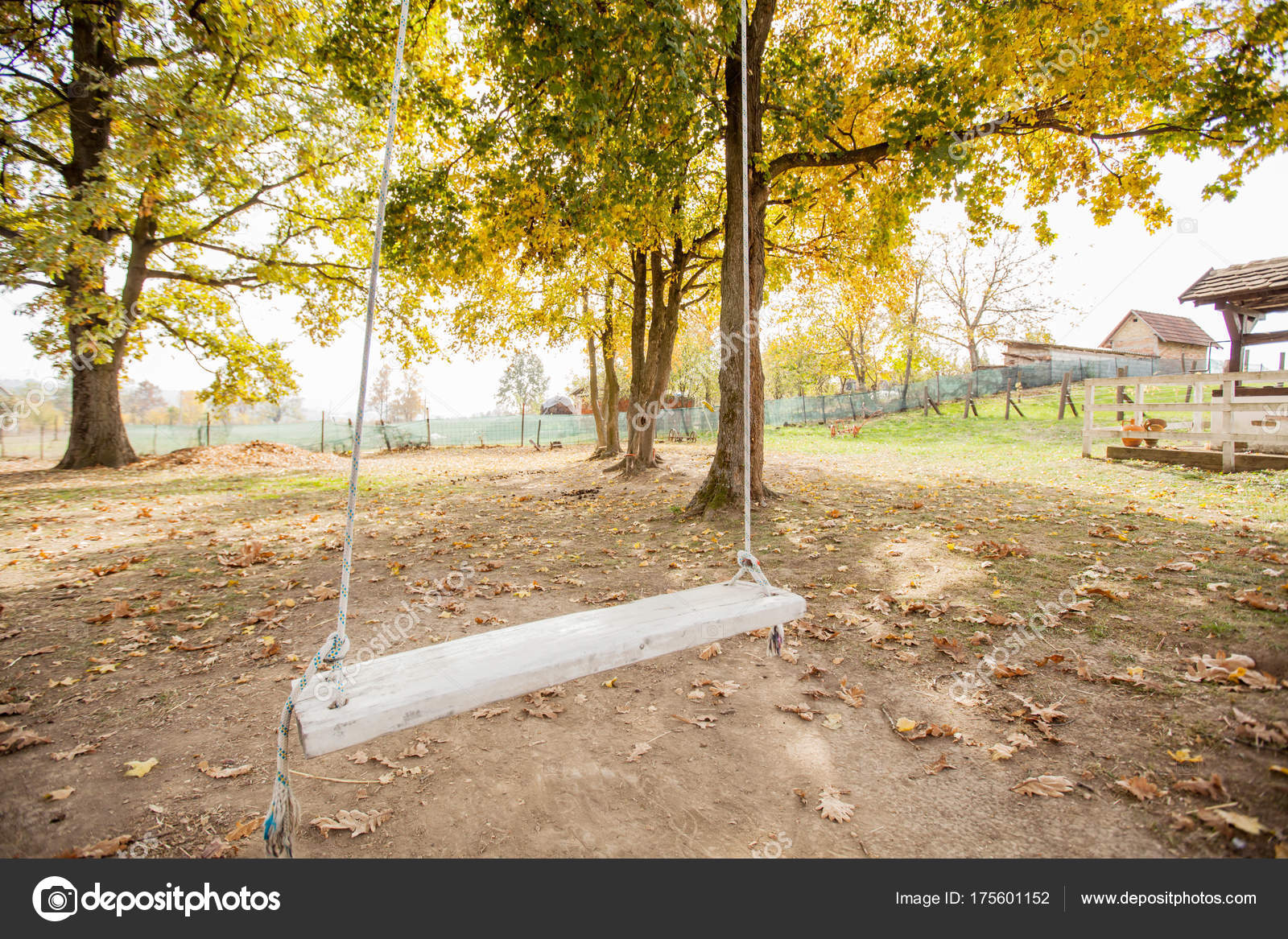 Empty Swing On A Tree