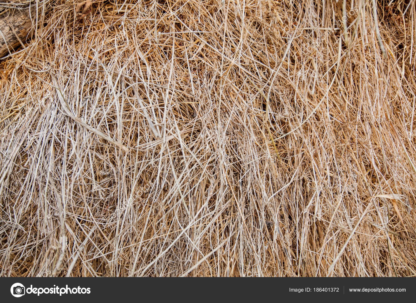 Haystack Texture Background Rural Nature Concept Stock Photo by ...