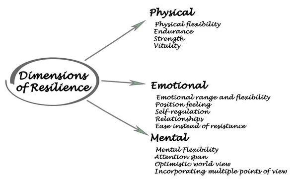 Diagram of Resilience — Stock Photo © vaeenma #72840361