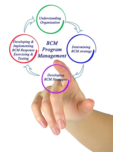 Bcm Pictures, Bcm Stock Photos & Images | Depositphotos®