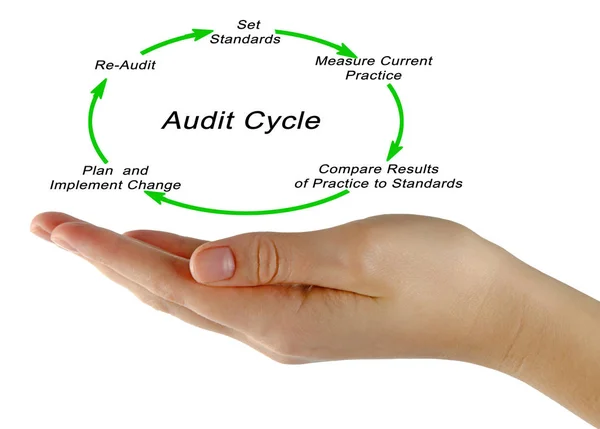 Circle internal audit process Stock Photos, Royalty Free Circle ...