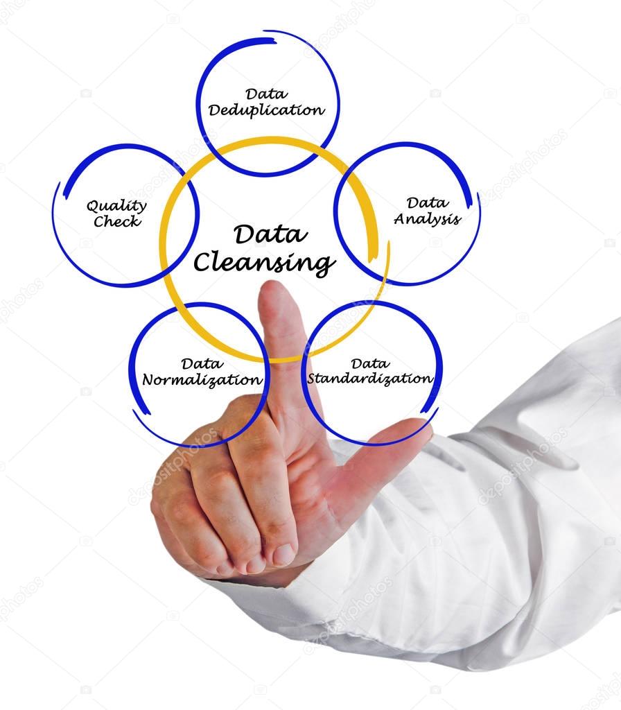 Diagrama de limpieza de datos 2024