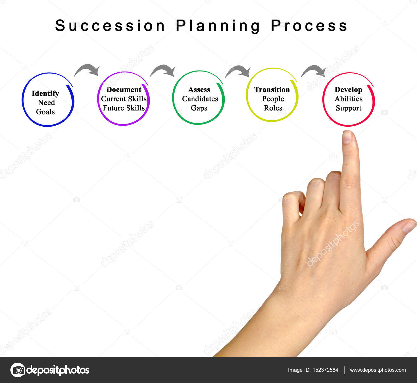 Diagram of Succession Planning Process Stock Photo by ©vaeenma 152372584 Diagram of Succession Planning Process Stock Photo by ©vaeenma 152372584