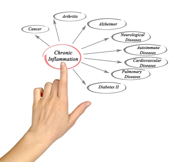 Presenting Diagram of Chronic Inflammation — Stock Photo © vaeenma ...