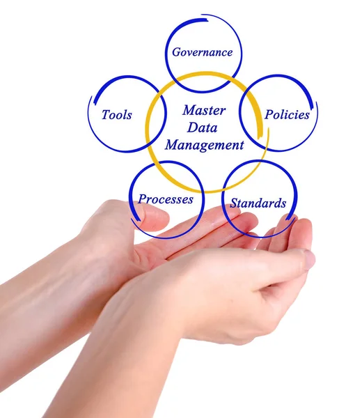 Master data Images - Search Images on Everypixel