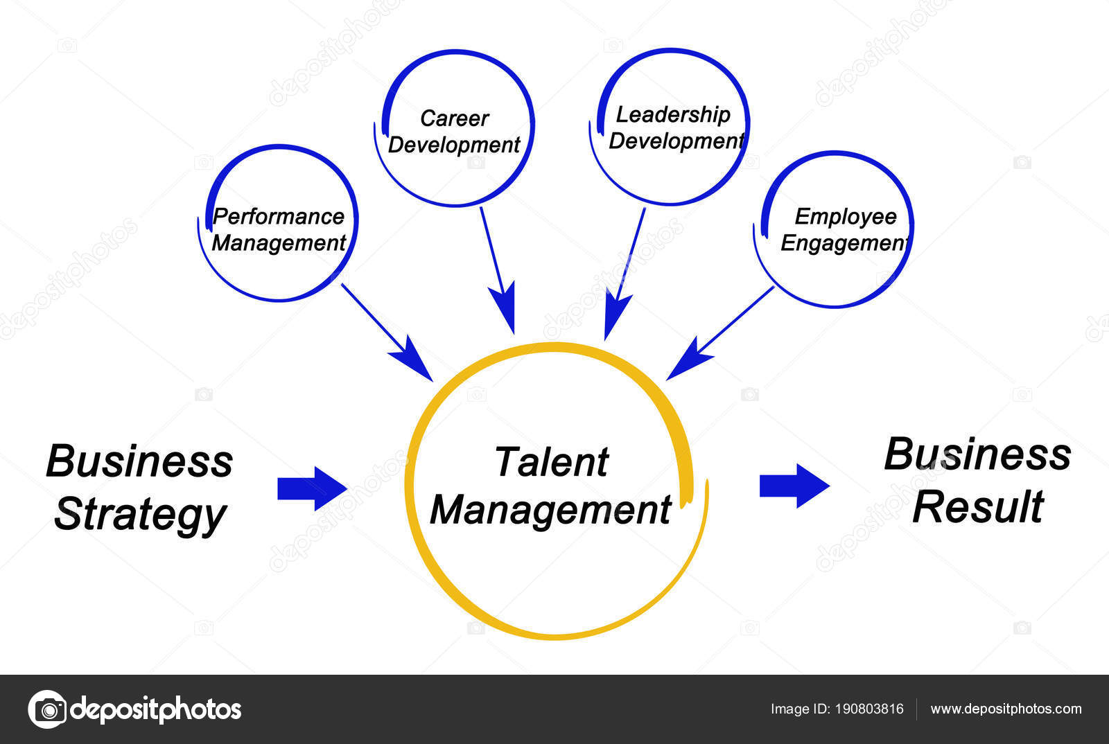 Components of Talent Management Process Stock Photo by ©vaeenma 190803816