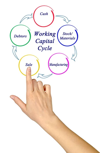 Working capital Images - Search Images on Everypixel