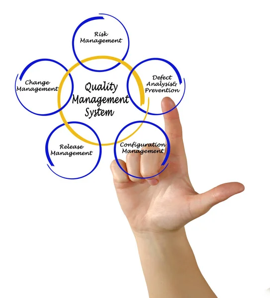 Quality management system Images - Search Images on Everypixel