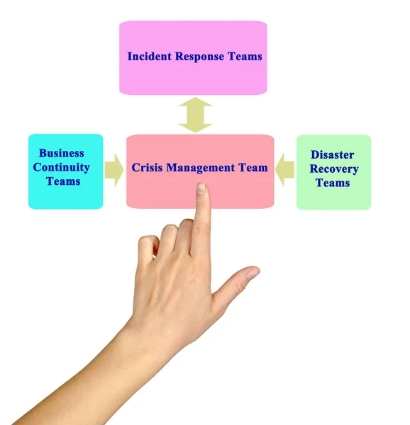 Management team Images - Search Images on Everypixel