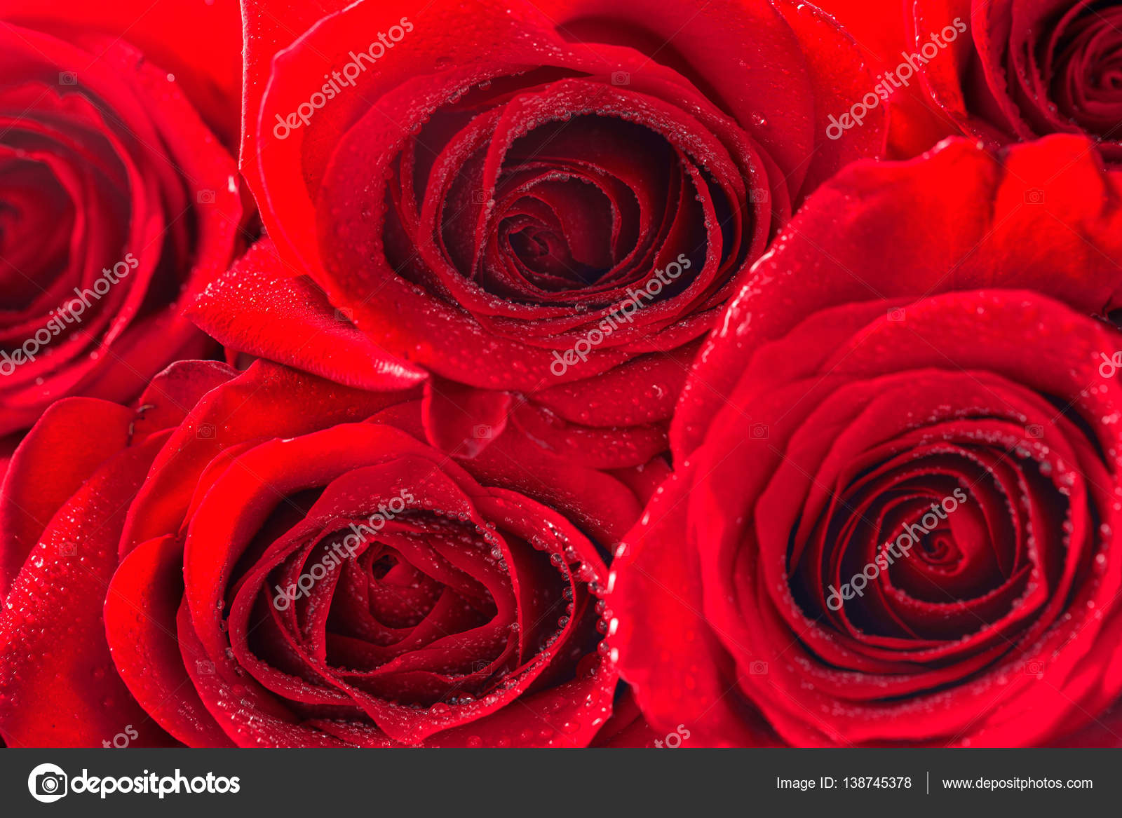 Red roses flower background Stock Photo by ©luckybusiness 138745378