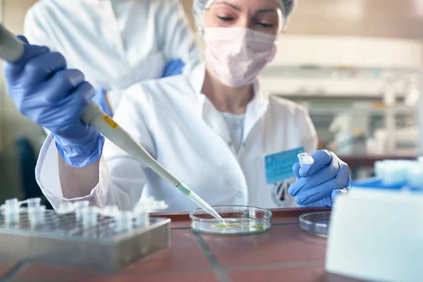 scientict in lab analysis of new corona virus, clinic laboratory ...