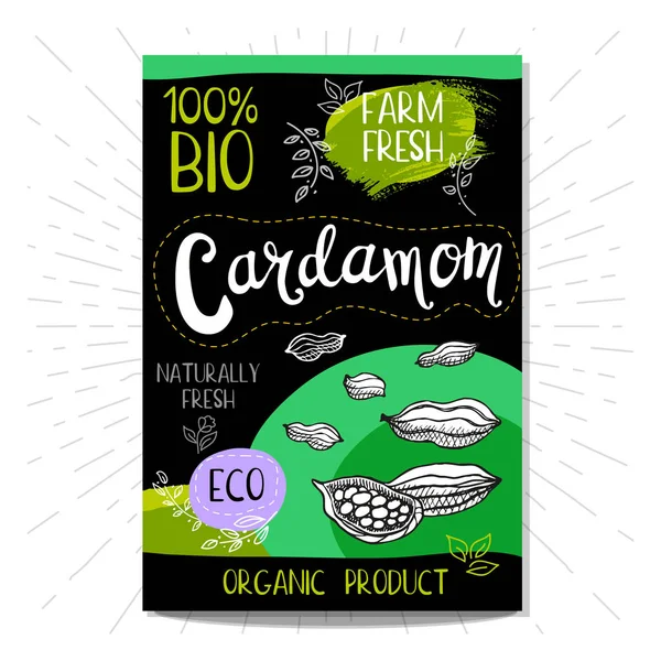 Cardamom icon herb label fresh organic condiment, nuts herbs spice ...