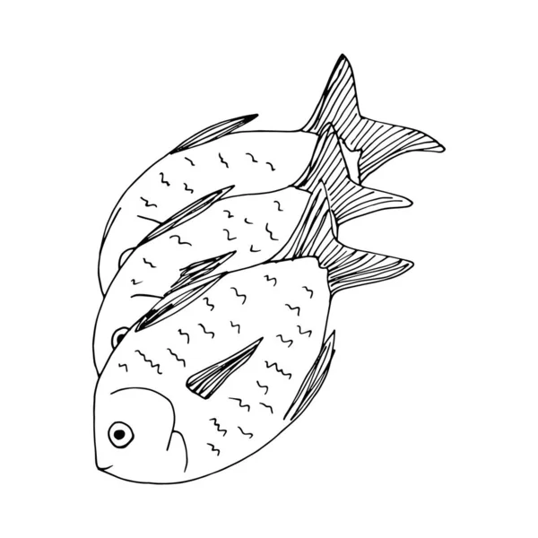 Hal rajzok Stock fotók, Hal rajzok Jogdíjmentes képek | Depositphotos