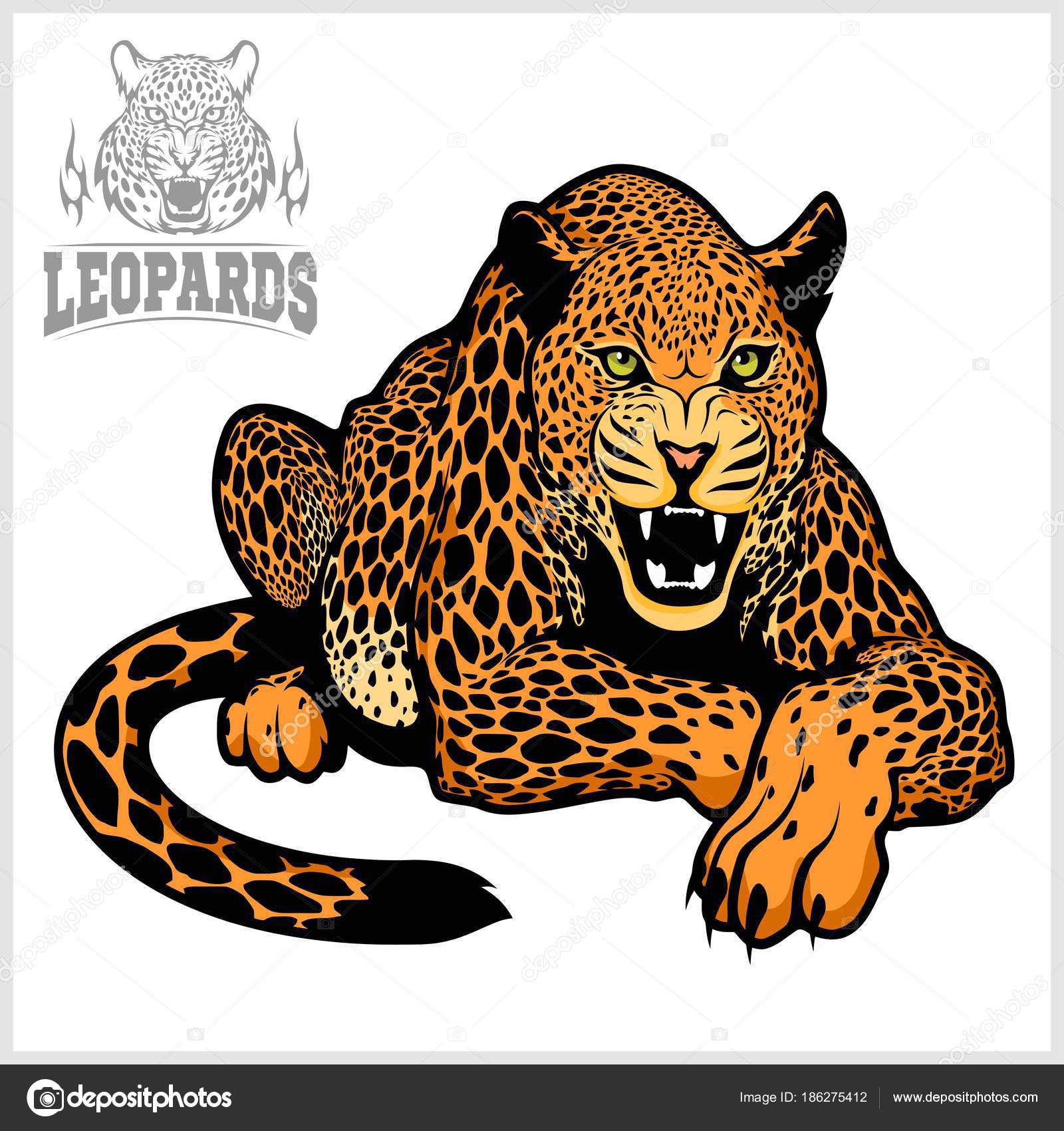 Leopard - vector isolated illustration on white — Stock Vector ...