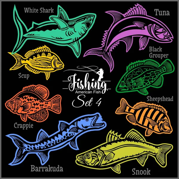 American Fish - vector set 5 for creative design, t-shirt, badge and ...