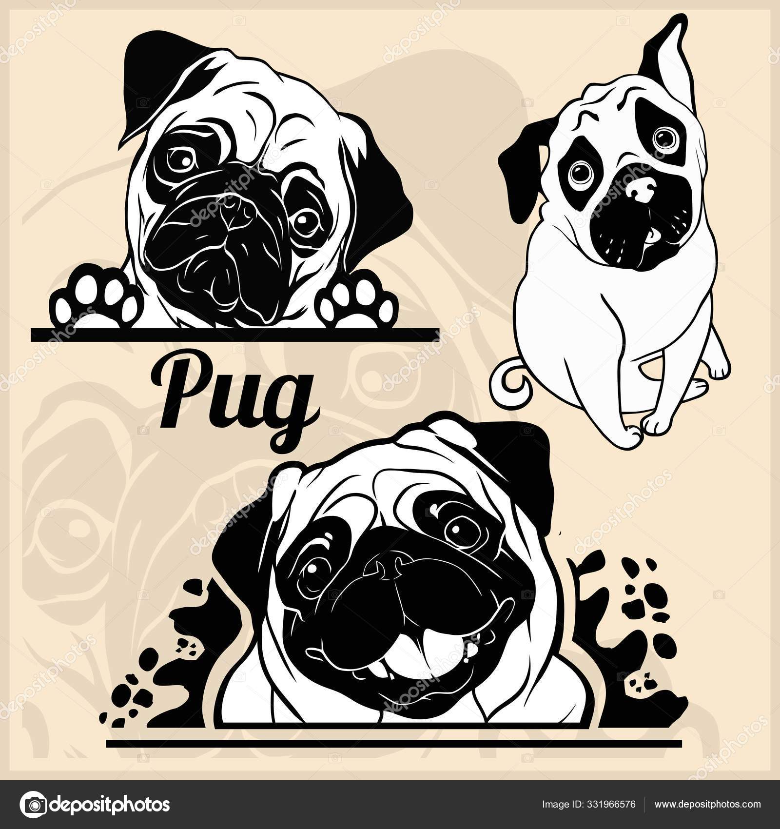 Pug - vector set for t-shirt, logo and template badges — 스톡 벡터 ...