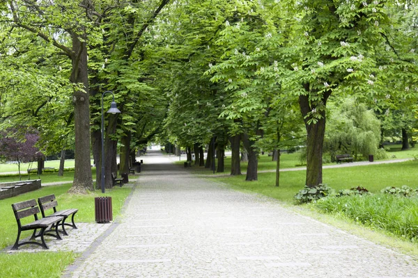 Clean park Stock Photos, Royalty Free Clean park Images | Depositphotos