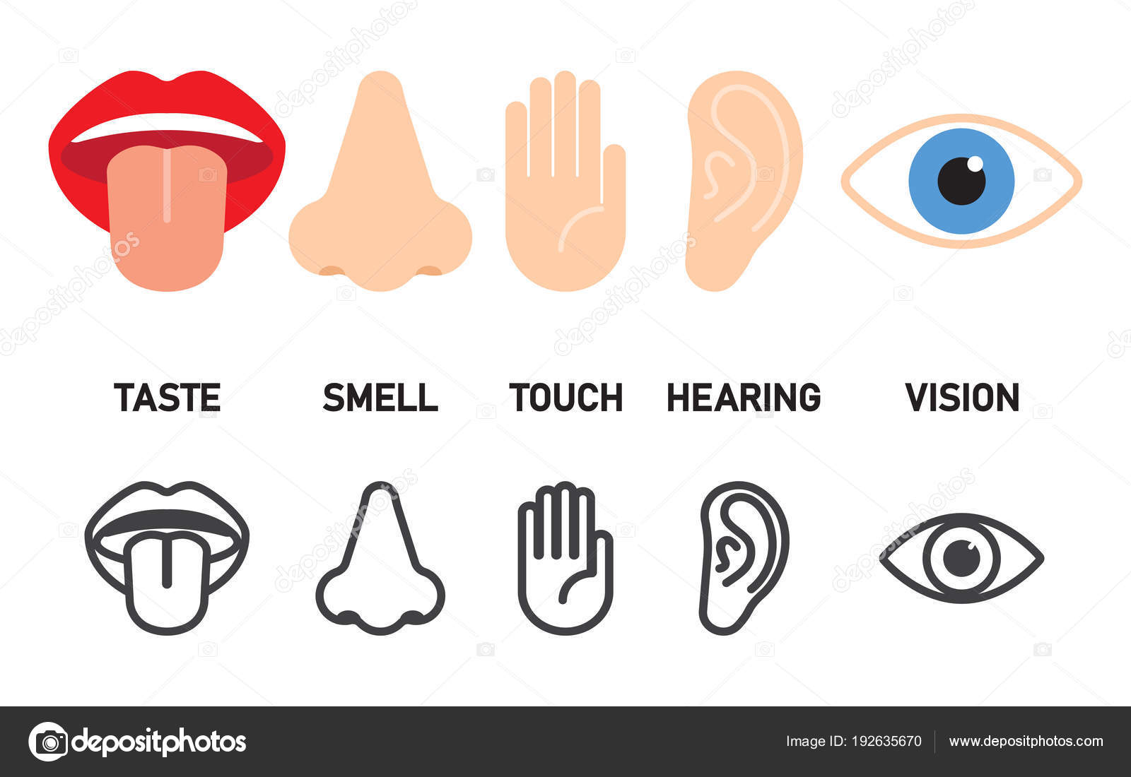 Conjunto de iconos de cinco sentidos humanos vector, gráfico vectorial ...