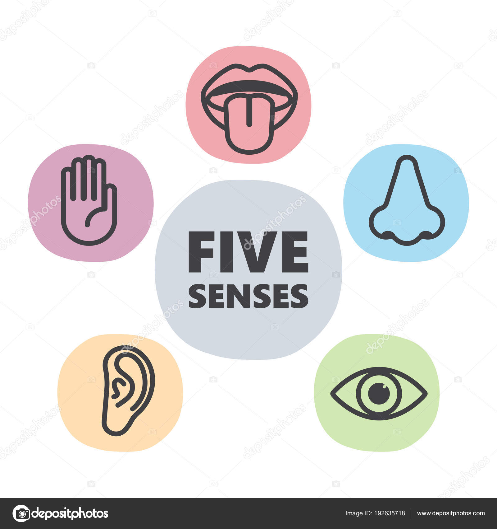 Conjunto de iconos de cinco sentidos humanos vector, gráfico vectorial ...