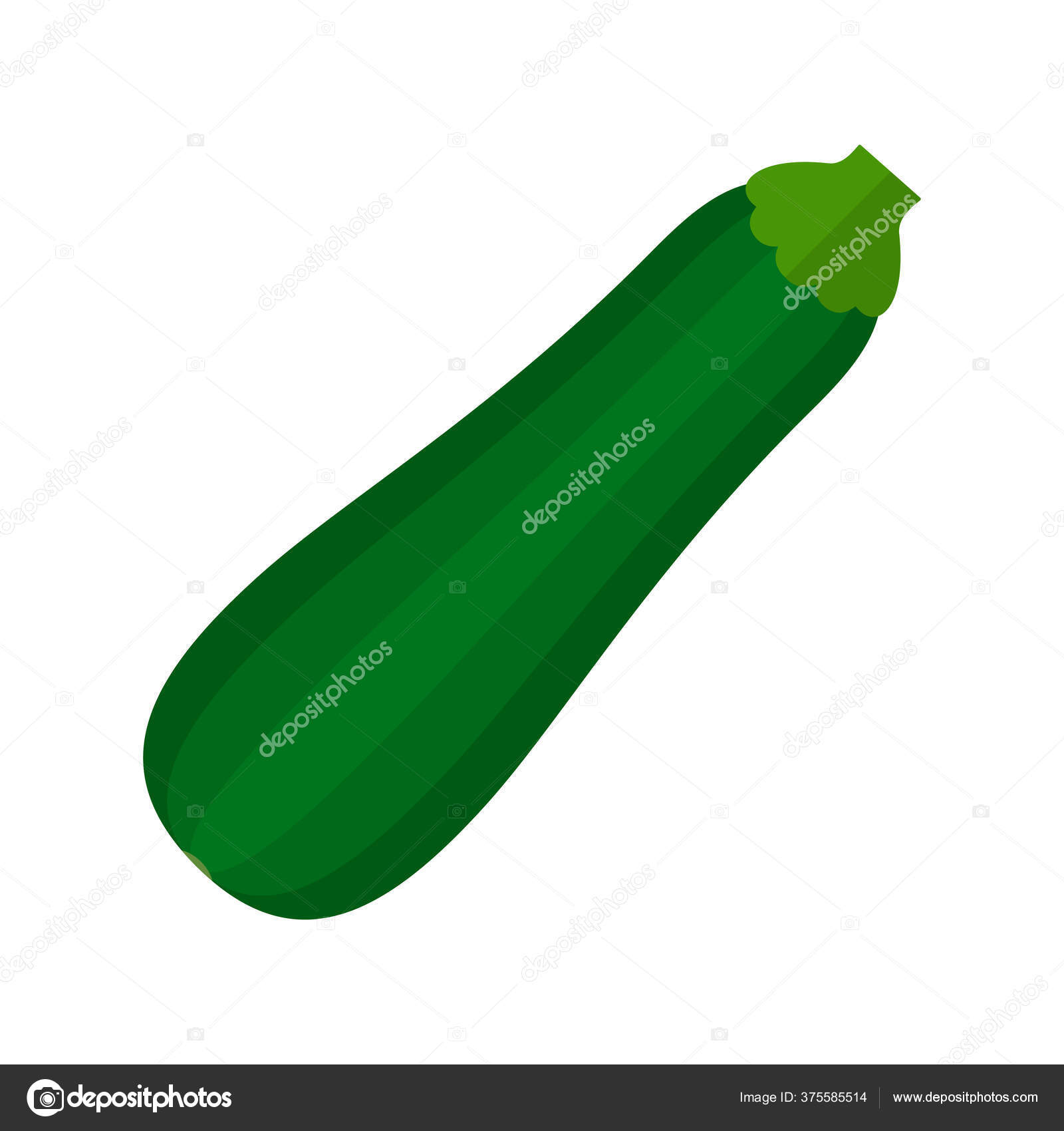 Raw Zucchini Vegetable Icon Vector Illustration Isolated White ...