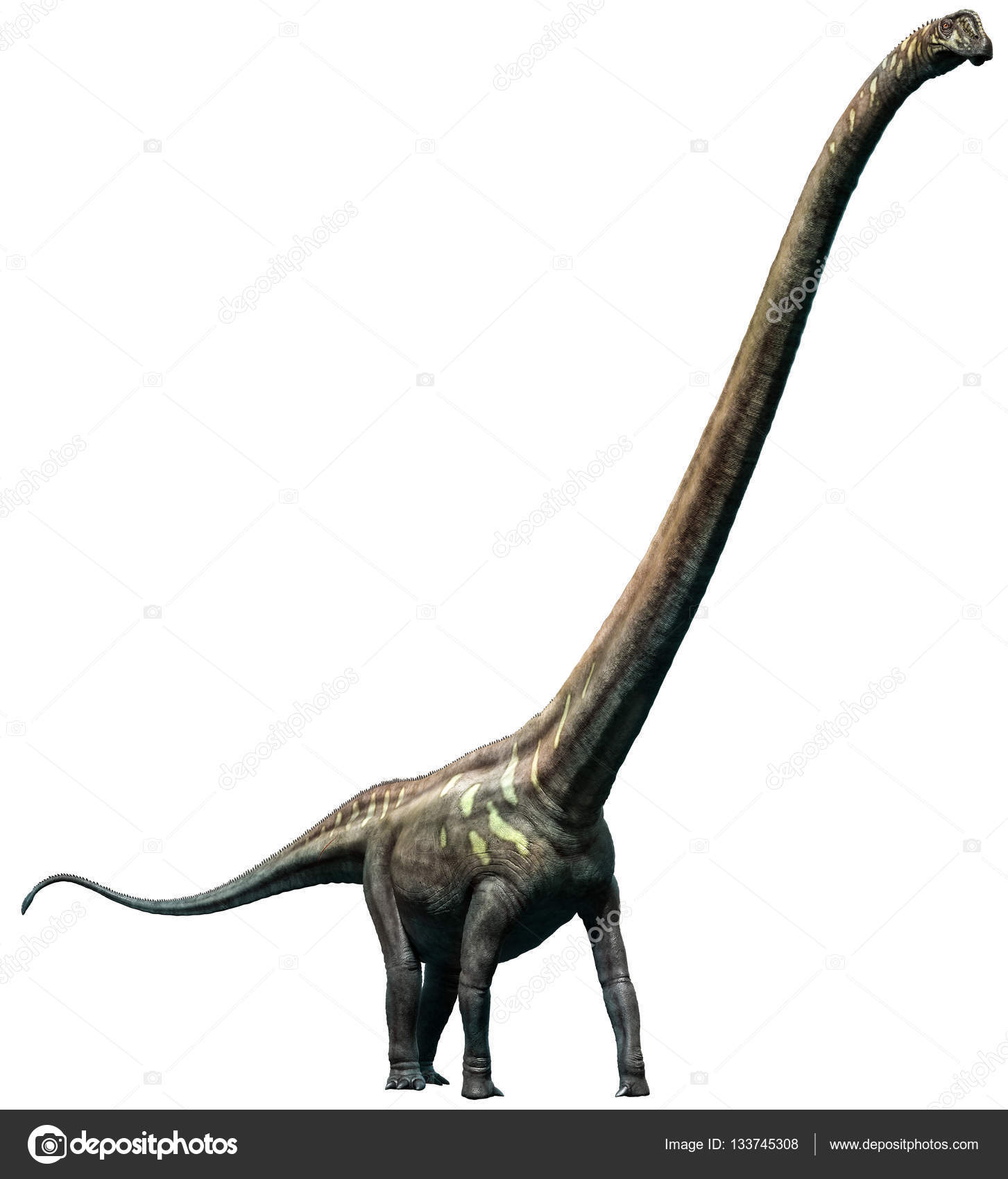 Mamenchisaurus 3D illustration Stock Photo by ©warpaintcobra 133745308
