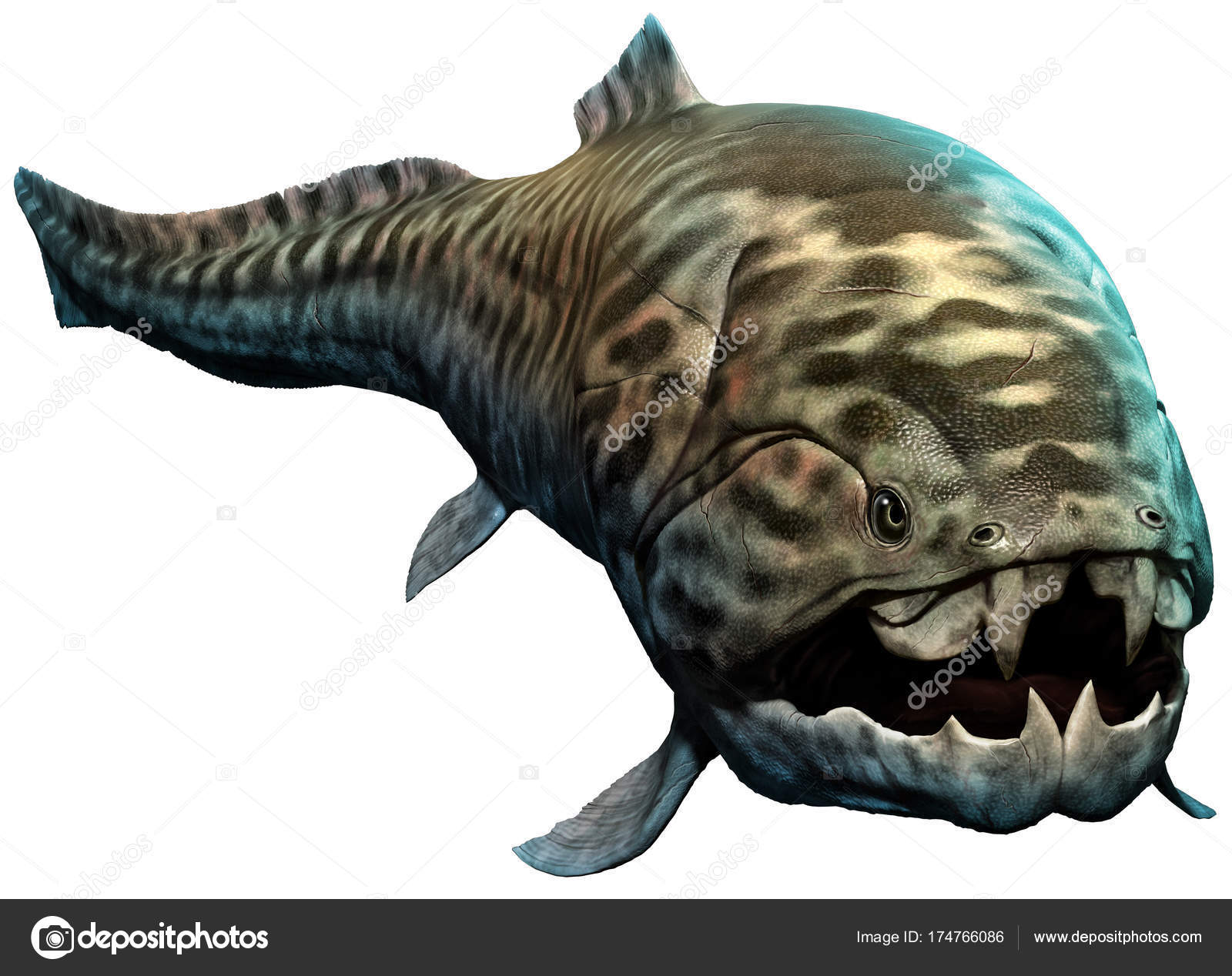 Devonian Sharks