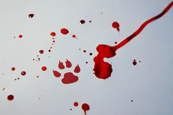 Blood Dog Paw Tattoos