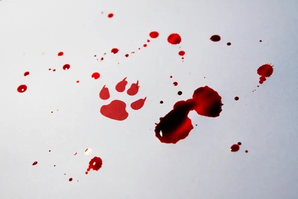 Splattered blood stain on white background — Stock Photo © volniy ...