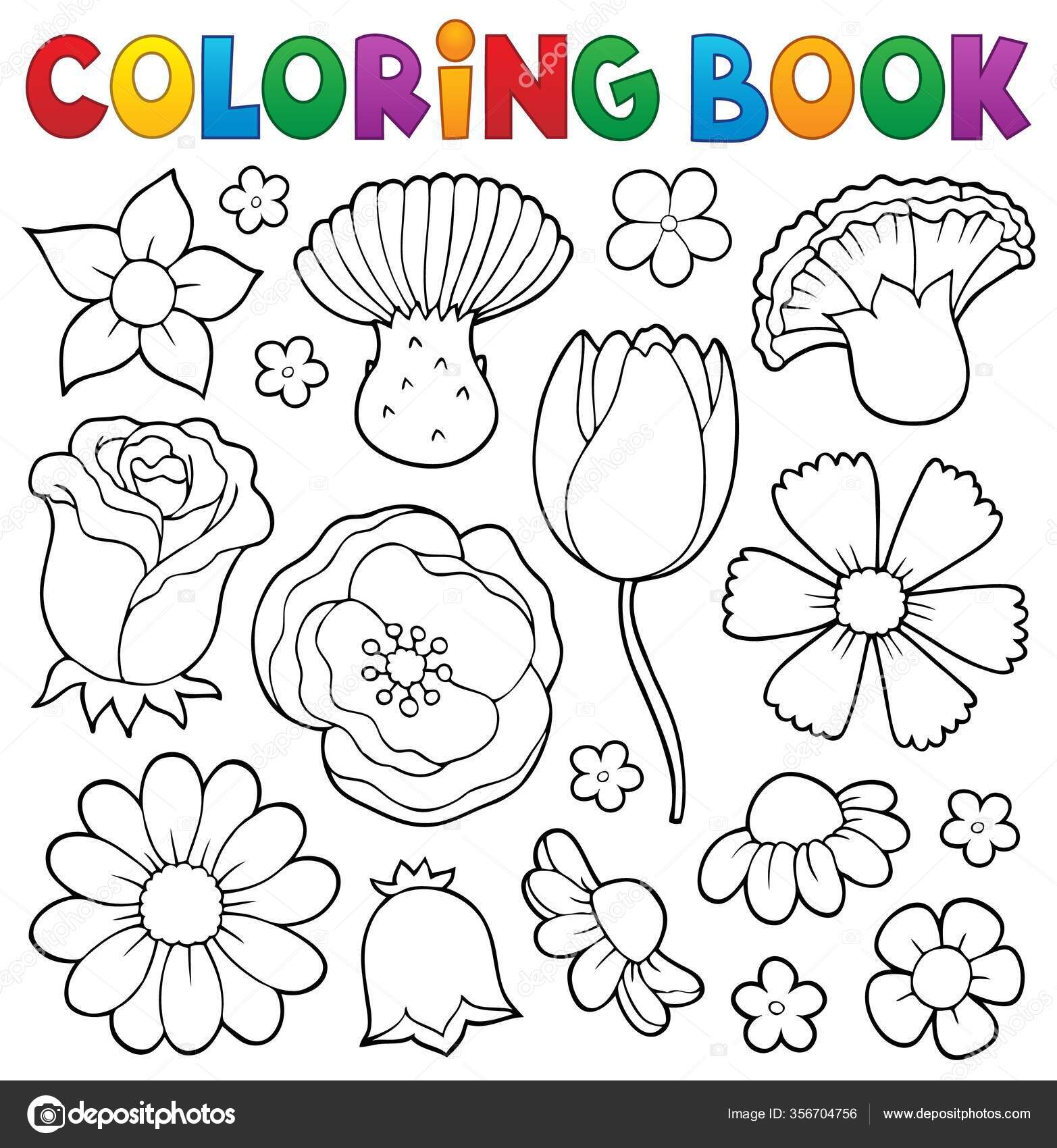 Coloring Book Various Flower Heads Set Eps10 Vector Illustration Stock ...