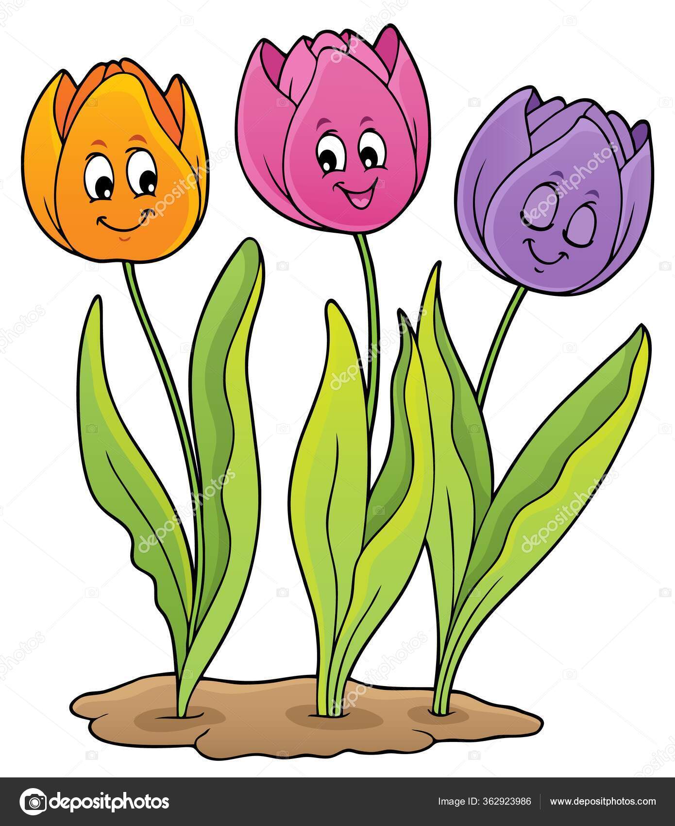 Cartoon Tulip