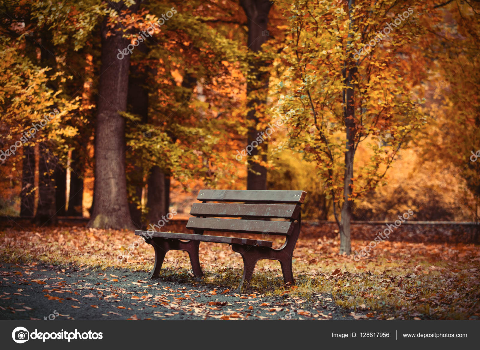 Old Park Bench