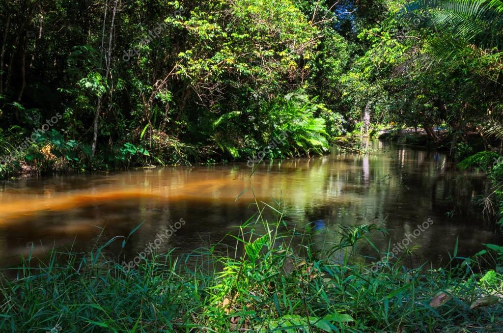Sahasralingas (Linga 1.000), las figuras de Yoni y Linga en el lecho ...