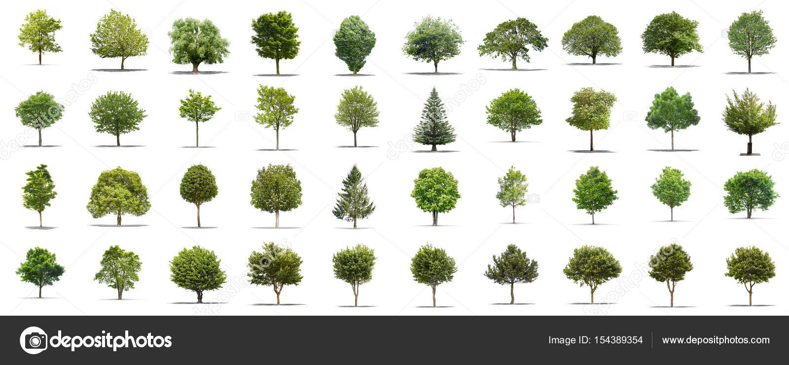 High definition collection of Trees Stock Photo by ©perig76 154389354