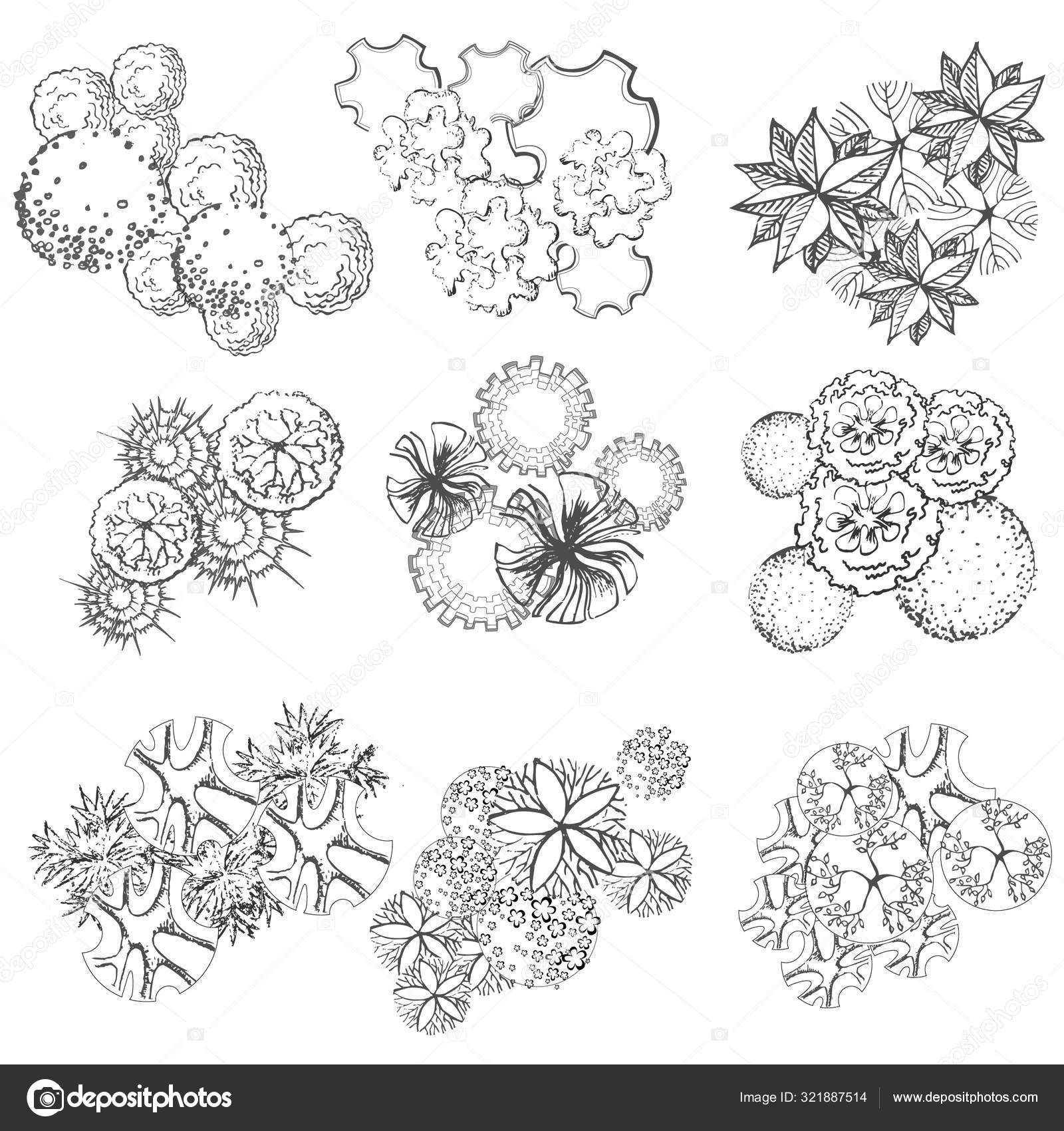 Set Treetop Symbols Architectural Landscape Design Stock Vector Image ...